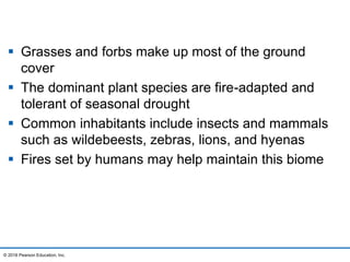 Comprehensive Overview of Population Ecology and Terrestrial Biomes ...