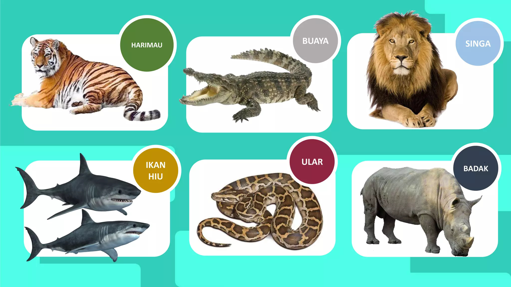 jenis Jenis binatang buas | SmartPoint | PPSX