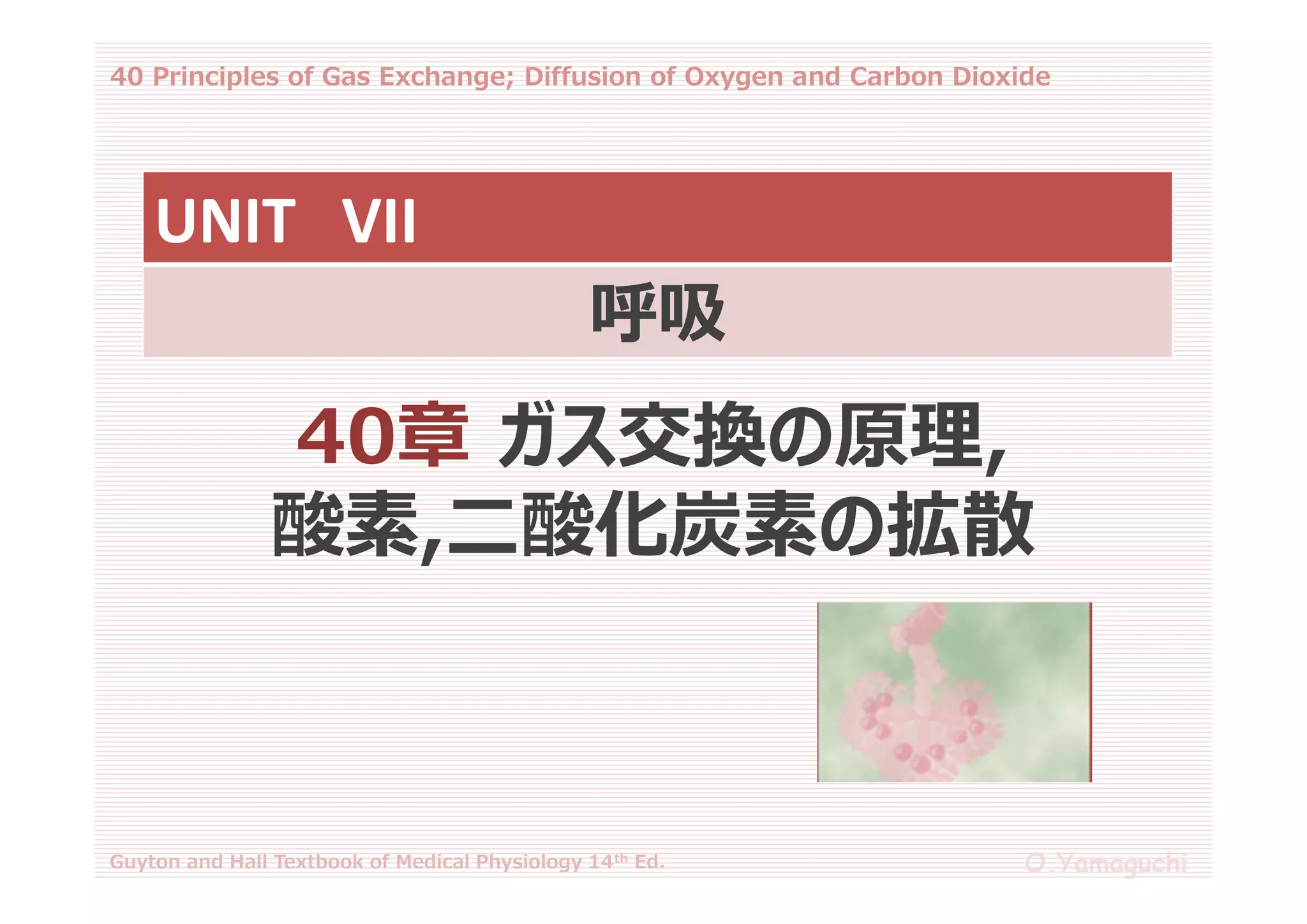 40 principles of gas exchange; diffusion of oxygen and carbon dioxide ...
