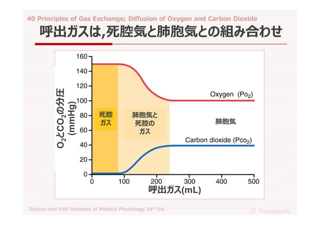 40 principles of gas exchange; diffusion of oxygen and carbon dioxide ...