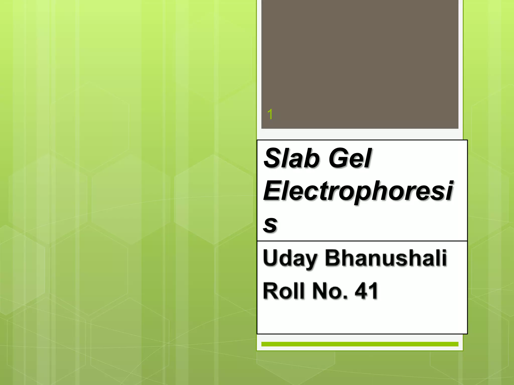 Slab gel electrophoresis | PPTX