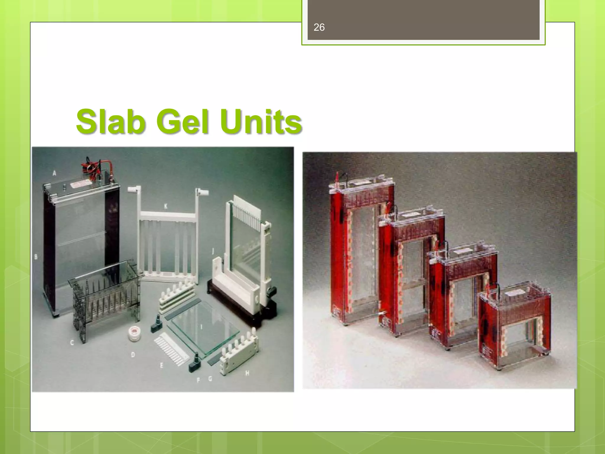 Slab gel electrophoresis | PPTX | Chemistry | Science