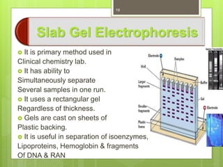 Slab gel electrophoresis | PPTX