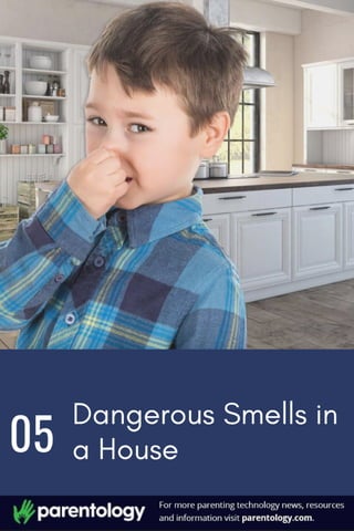 5 Dangerous Smells in a House | PDF