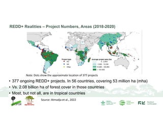 The global landscape of projects to reduce emissions from deforestation ...