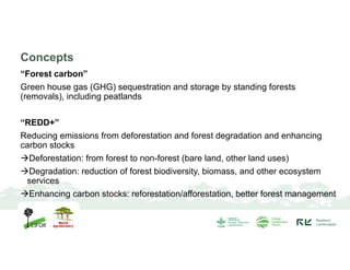 The global landscape of projects to reduce emissions from deforestation ...