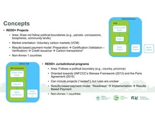 The global landscape of projects to reduce emissions from deforestation ...