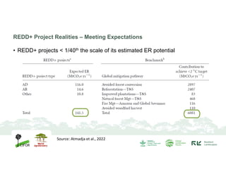 The global landscape of projects to reduce emissions from deforestation ...
