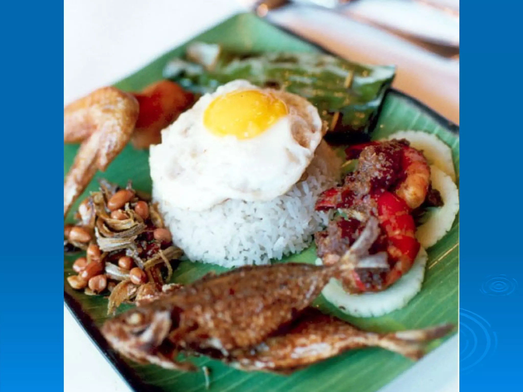 form 4 biology chap 4 pt2 | PPT