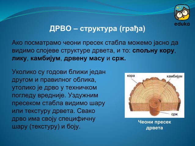 Tehnologija obrade i prerade drveta | PPTX