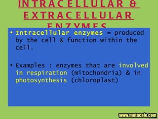 form 4 biology chap 4 pt5 | PPT
