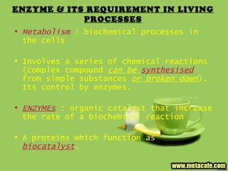 form 4 biology chap 4 pt5 | PPT