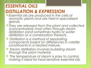 EXTRACTION OF OILS | PPT