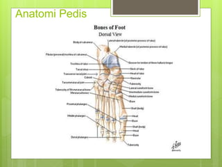 410670591-Ppt-Closed-Fraktur-digiti-III-Pedis-sinistra.pptx