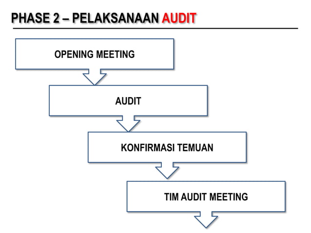 410912302-Internal-Audit-Training.ppt