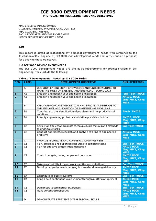 ICE 3000 DEVELOPMENT NEEDS AND PROPOSALS FOR FULFILLMENT PERSONAL ...