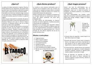 Triptico-Sobre-Tabaco-1.docx