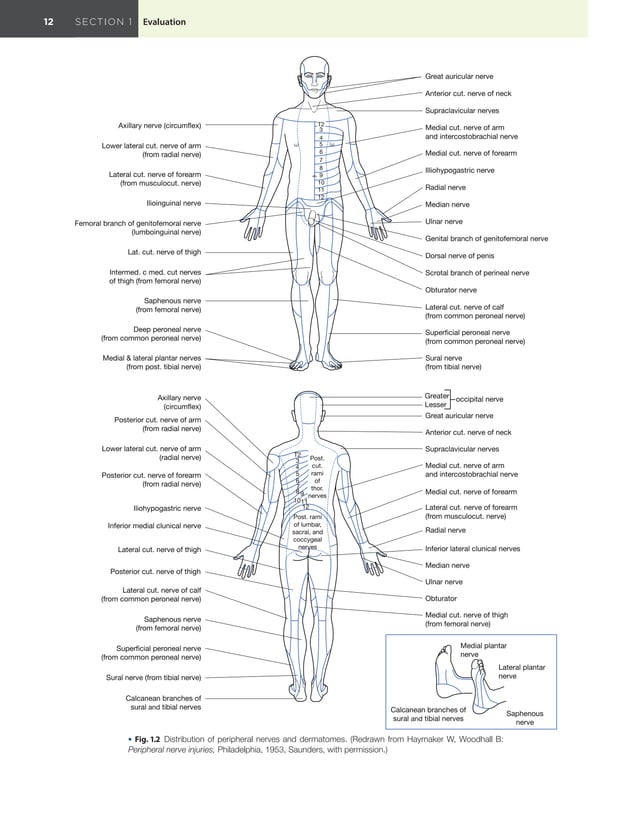 Braddom's Physical Medicine and Rehabilitation, Sixth Edition David X ...