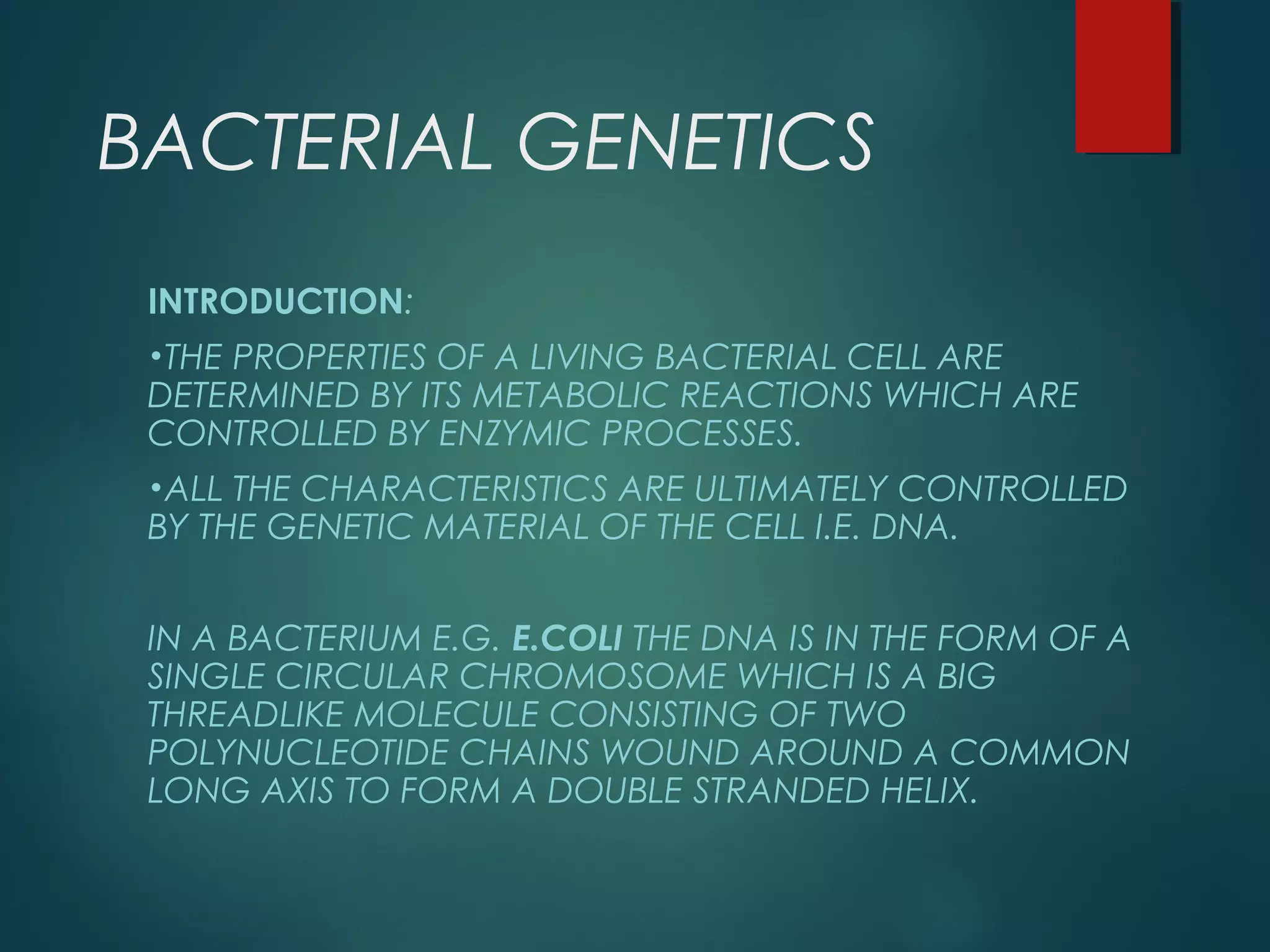 Bacterial Genetics | PPT
