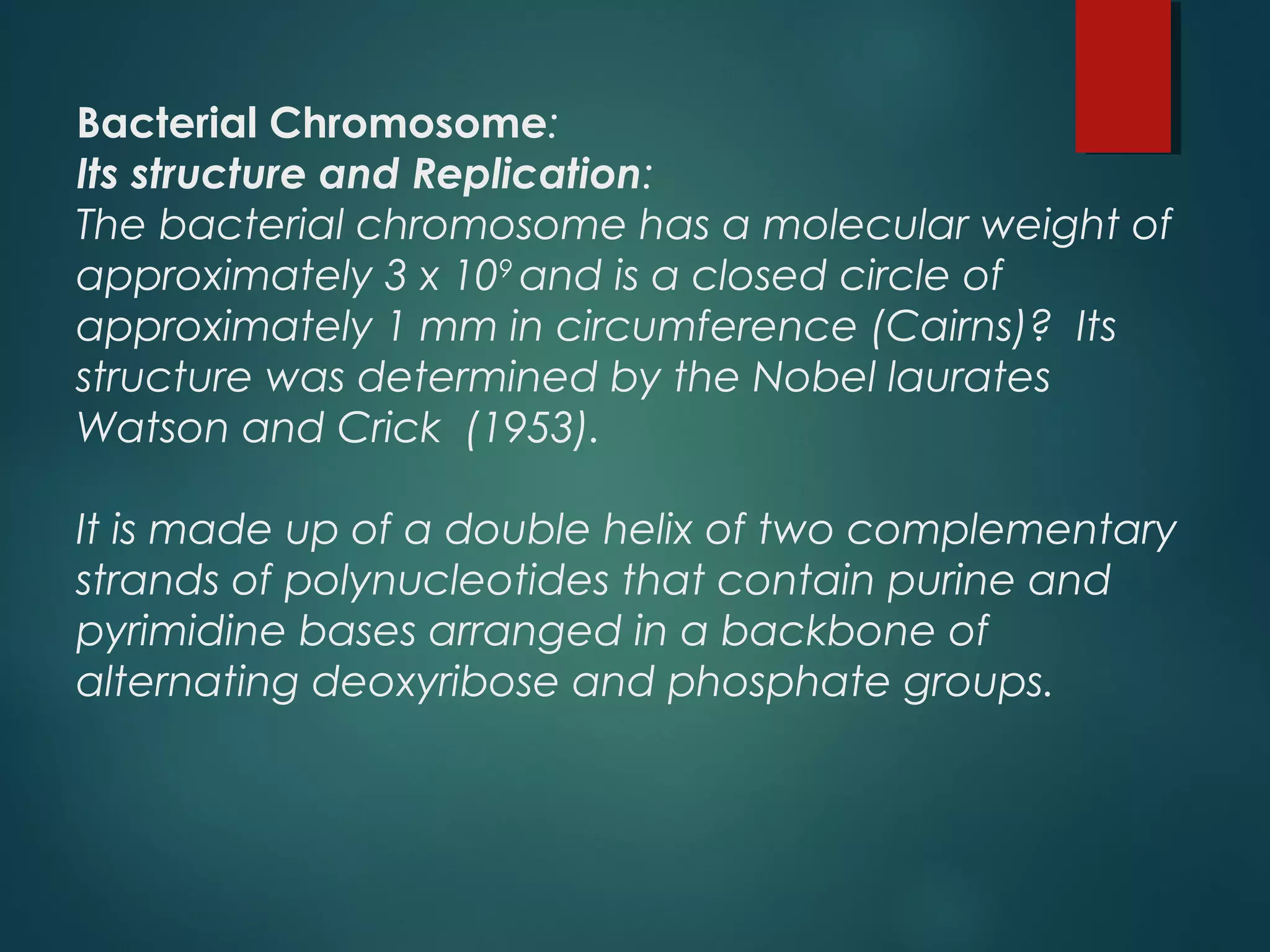 Bacterial Genetics | PPT