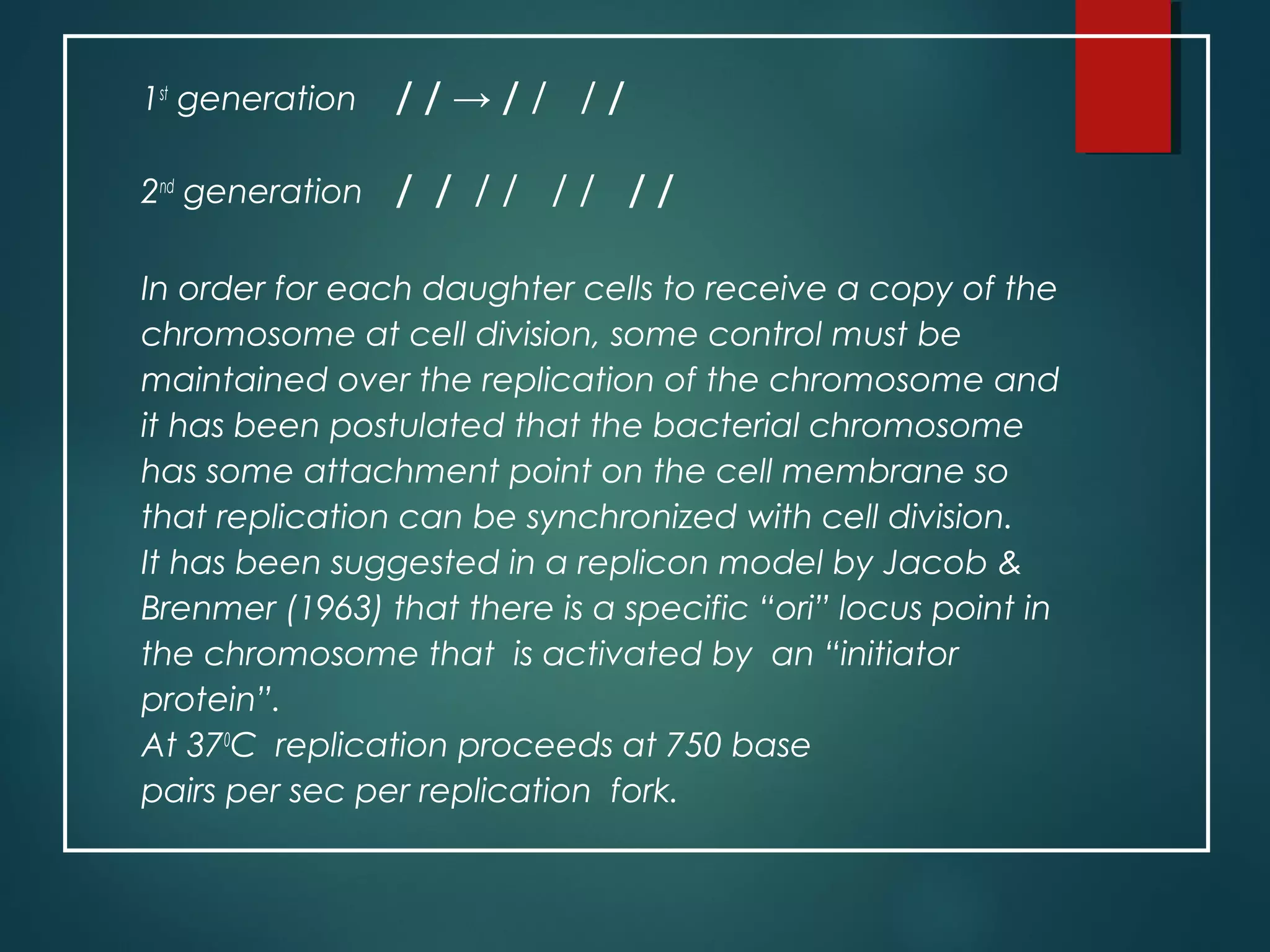 Bacterial Genetics | PPT