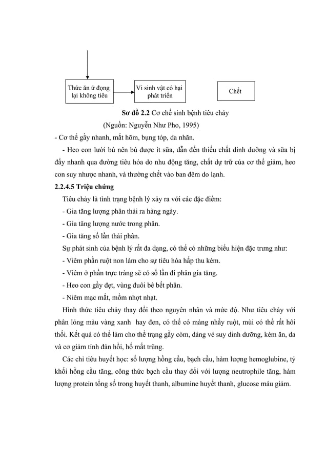 Khảo Sát Khả Năng Sinh Sản Của Heo Nái, Sức Sống Và Tình Trạng Tiêu Chảy Ở Heo Con Theo Mẹ Giai ...