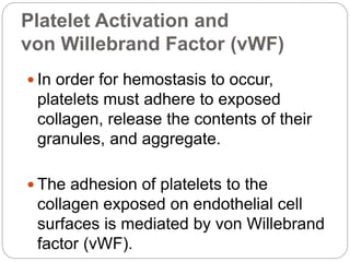 413256177-vWF.pptx | Blood Disorders | Diseases and Conditions
