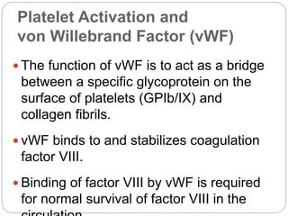 413256177-vWF.pptx | Blood Disorders | Diseases and Conditions