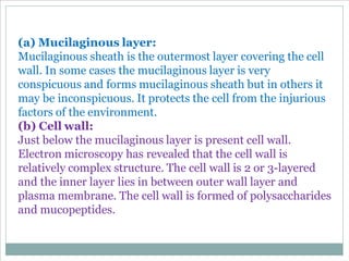 4132_Unit 2 cyanobacteria.pdf.................. | PDF