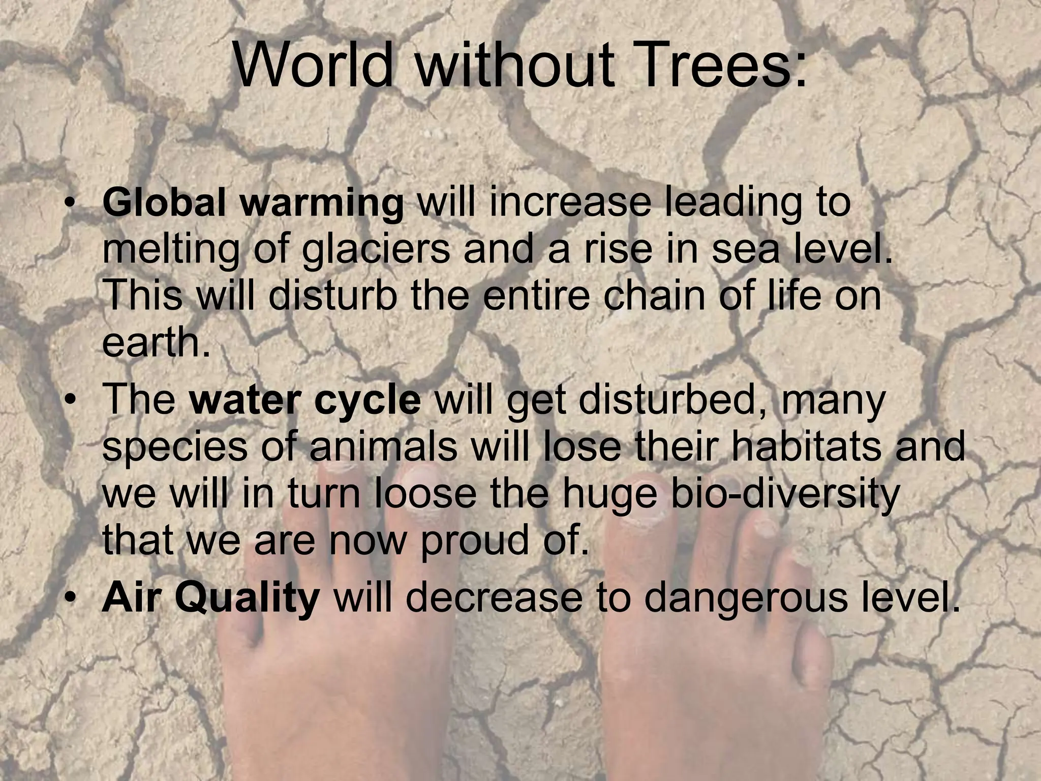 Presenatation on save trees of the world topic.ppt