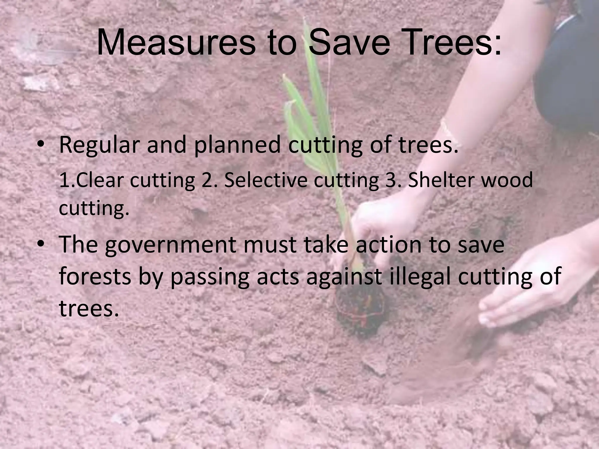 Presenatation on save trees of the world topic.ppt