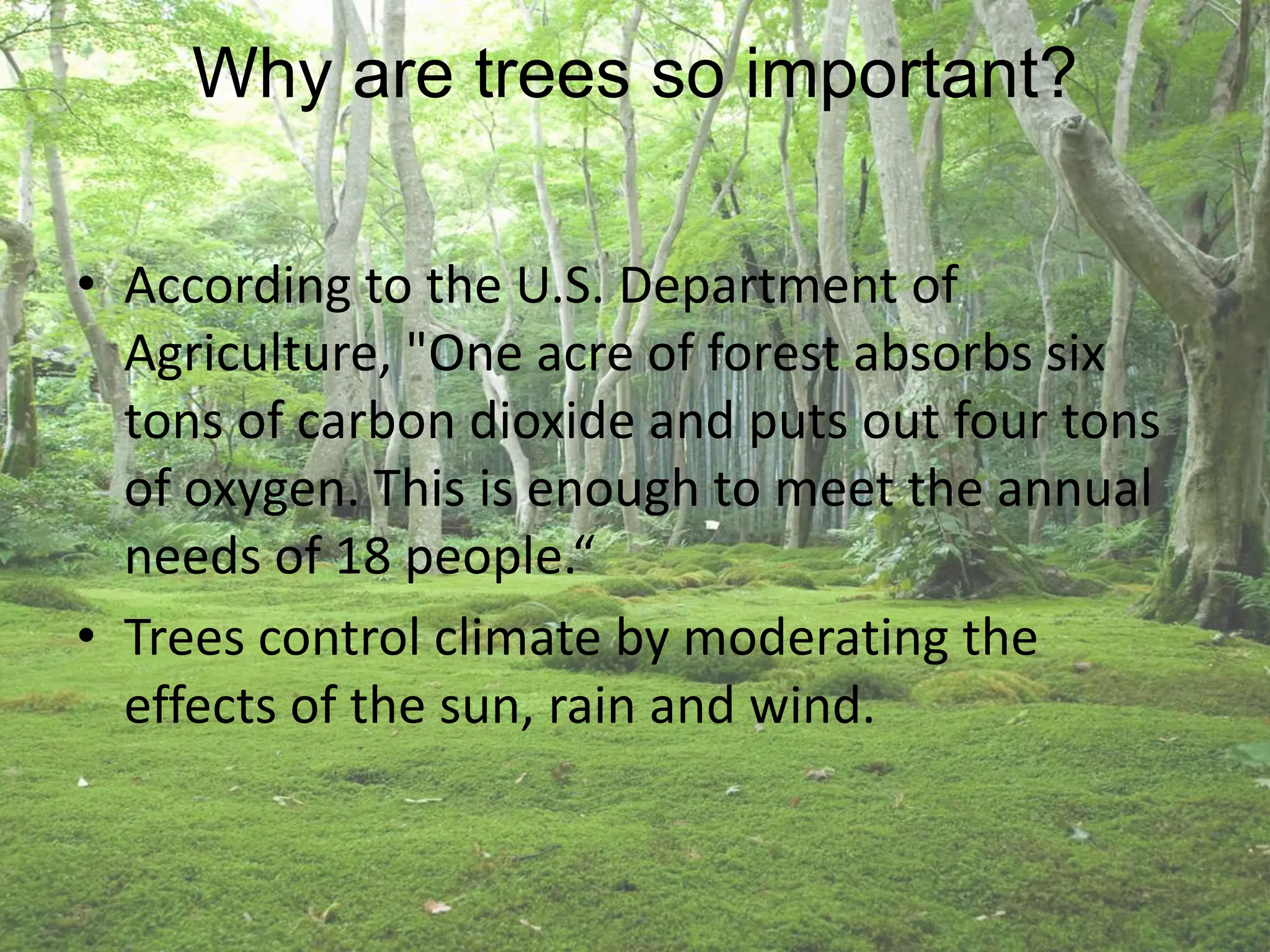 Presenatation on save trees of the world topic.ppt