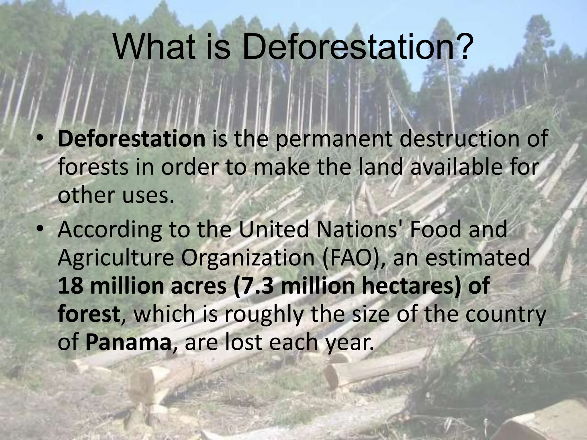 Presenatation on save trees of the world topic.ppt