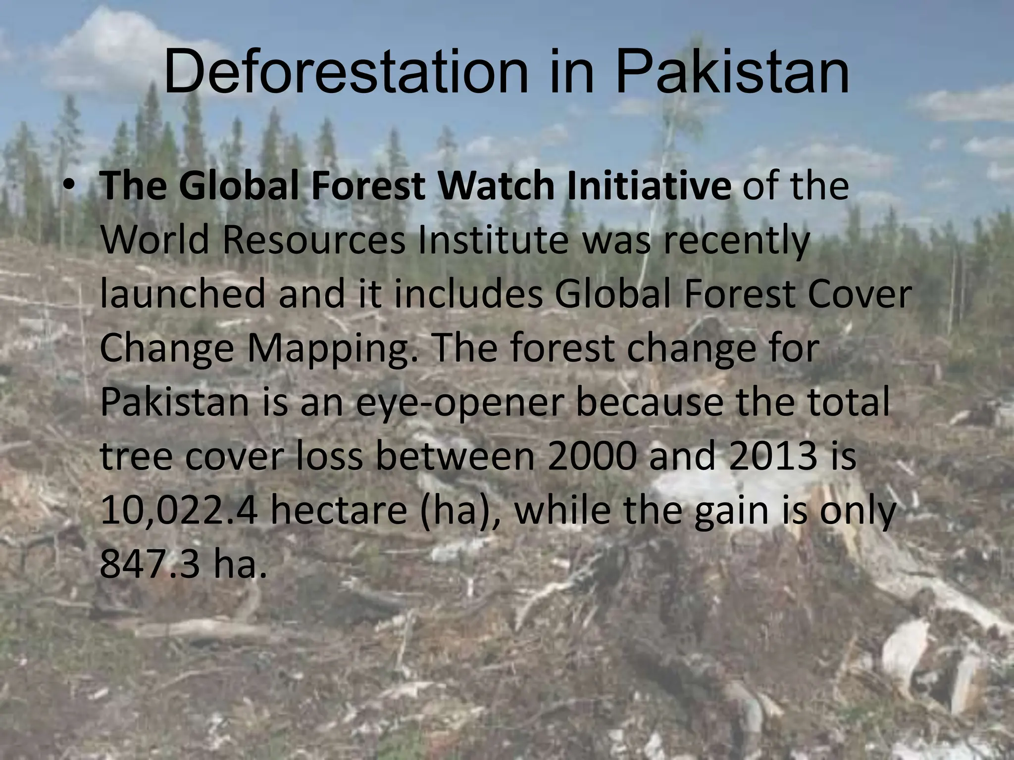 Presenatation on save trees of the world topic.ppt