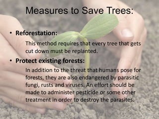 Presenatation on save trees of the world topic.ppt