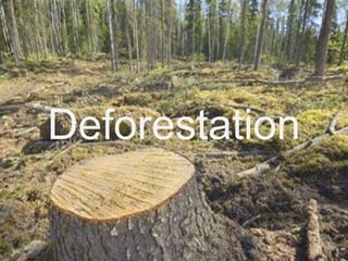 Presenatation on save trees of the world topic.ppt