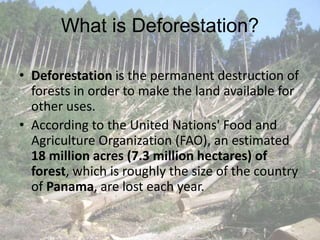 Presenatation on save trees of the world topic.ppt