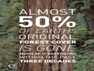 Presenatation on save trees of the world topic.ppt
