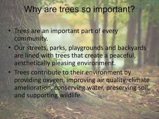 Presenatation on save trees of the world topic.ppt
