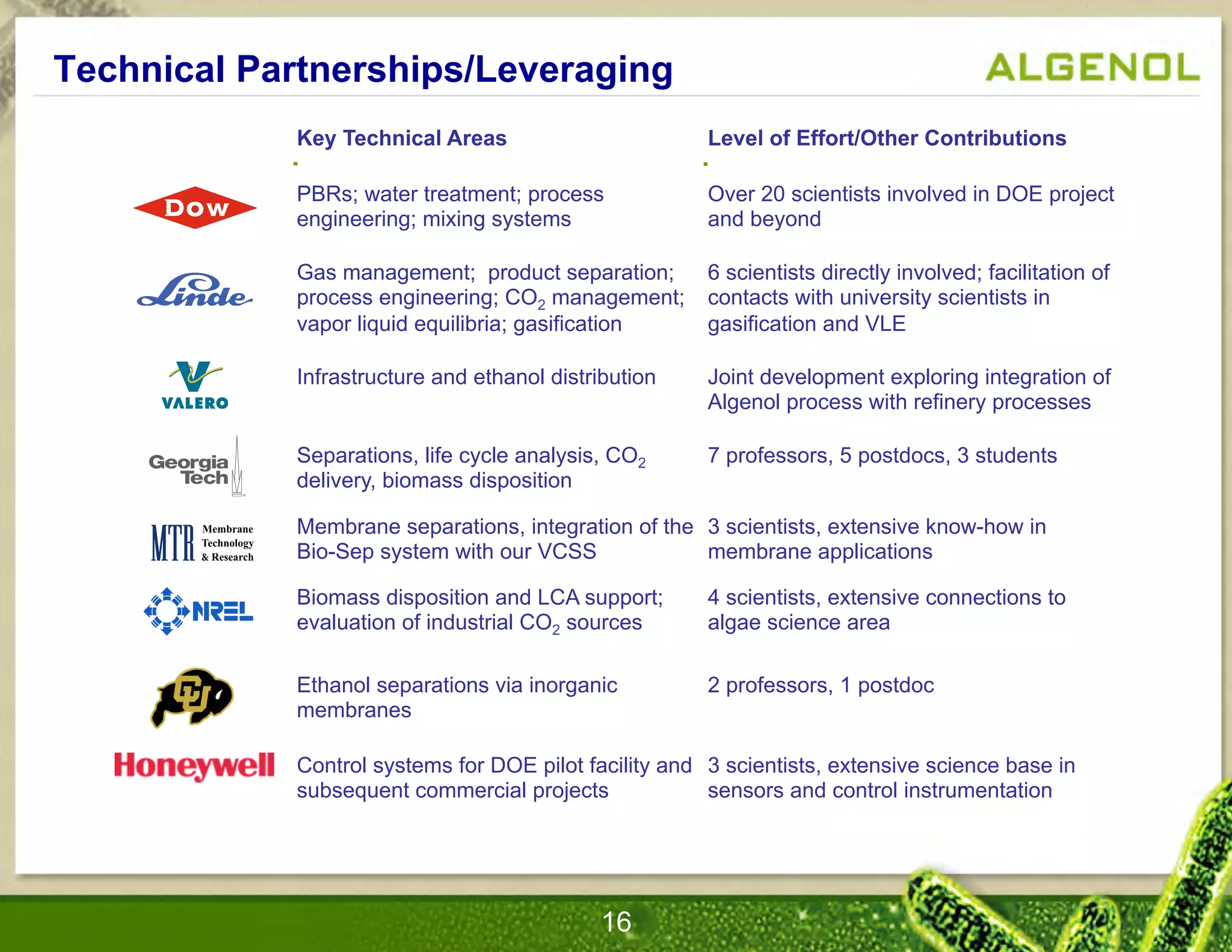 Algenols-Direct-to-Ethanol-Technology-A-Cyanobacteria-Based ...