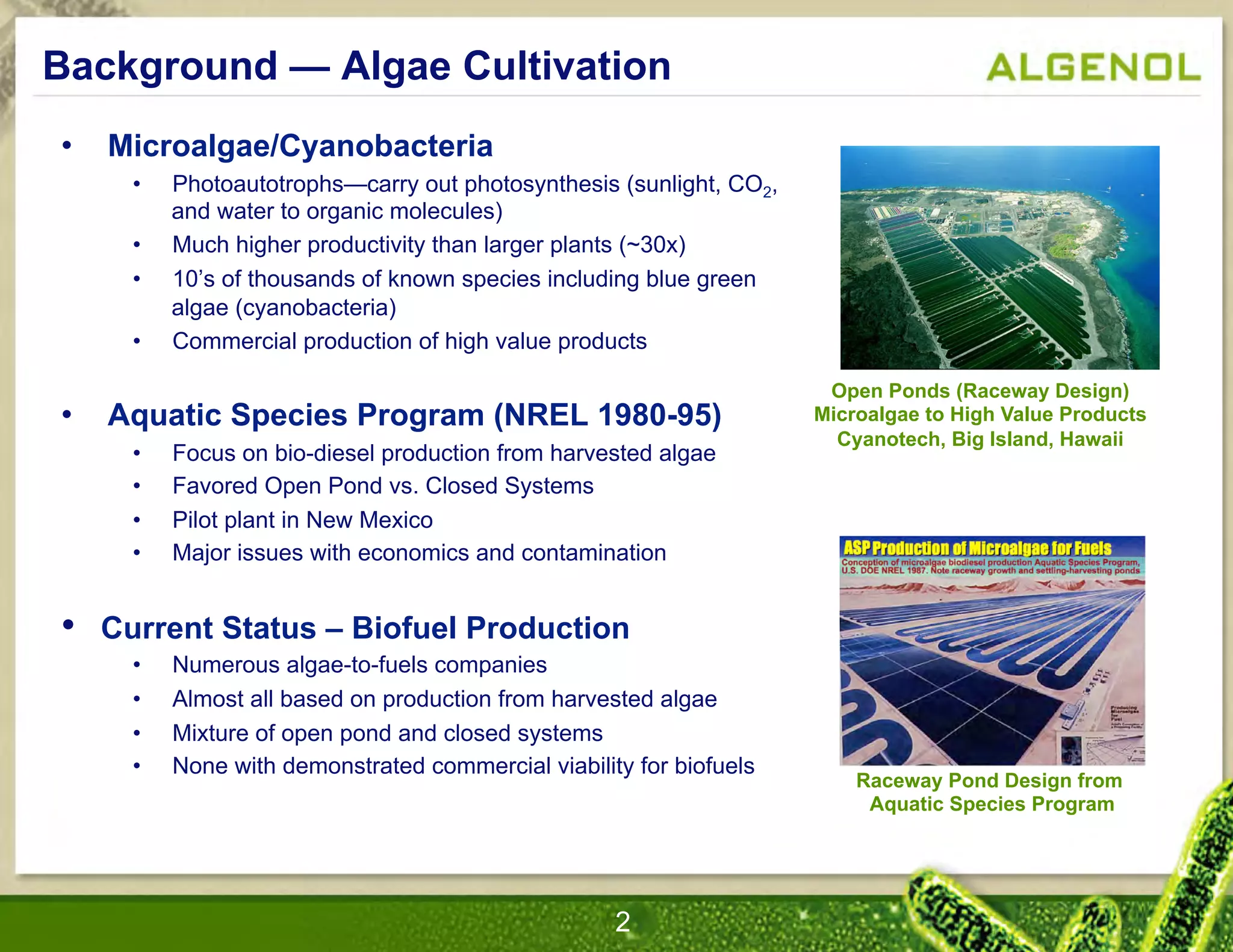 Algenols-Direct-to-Ethanol-Technology-A-Cyanobacteria-Based ...