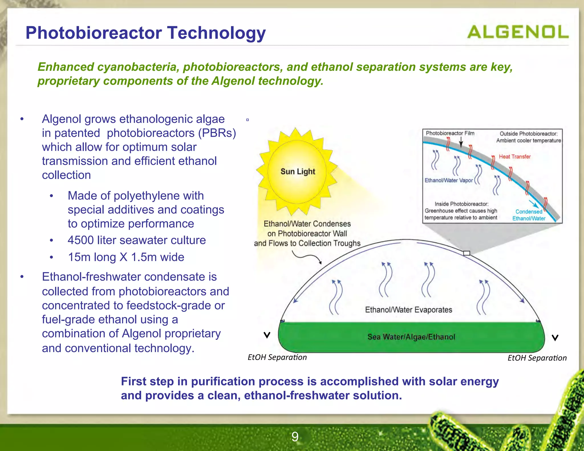 Algenols-Direct-to-Ethanol-Technology-A-Cyanobacteria-Based ...