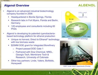 Algenols-Direct-to-Ethanol-Technology-A-Cyanobacteria-Based ...