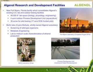 Algenols-Direct-to-Ethanol-Technology-A-Cyanobacteria-Based ...