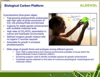 Algenols-Direct-to-Ethanol-Technology-A-Cyanobacteria-Based ...