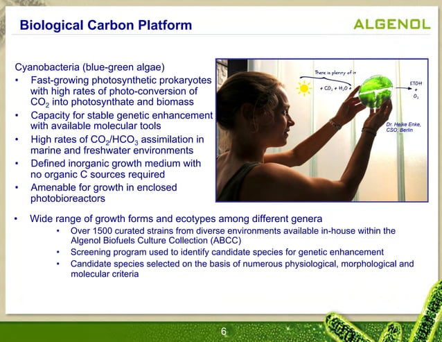 Algenols-Direct-to-Ethanol-Technology-A-Cyanobacteria-Based ...