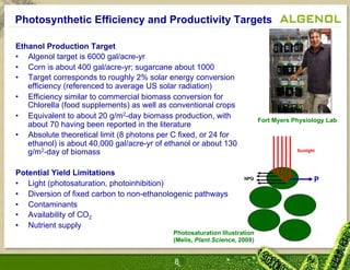 Algenols-Direct-to-Ethanol-Technology-A-Cyanobacteria-Based ...