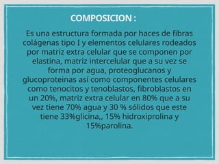 413822000-Tendones-y-Ligamentos.pptx FISIO | PPTX