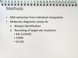 1st Rotation Presentation | PPTX