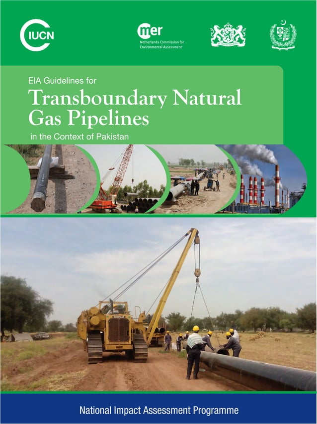 NIAP - EIA Guidelines- Transboundary Pipelines | PDF
